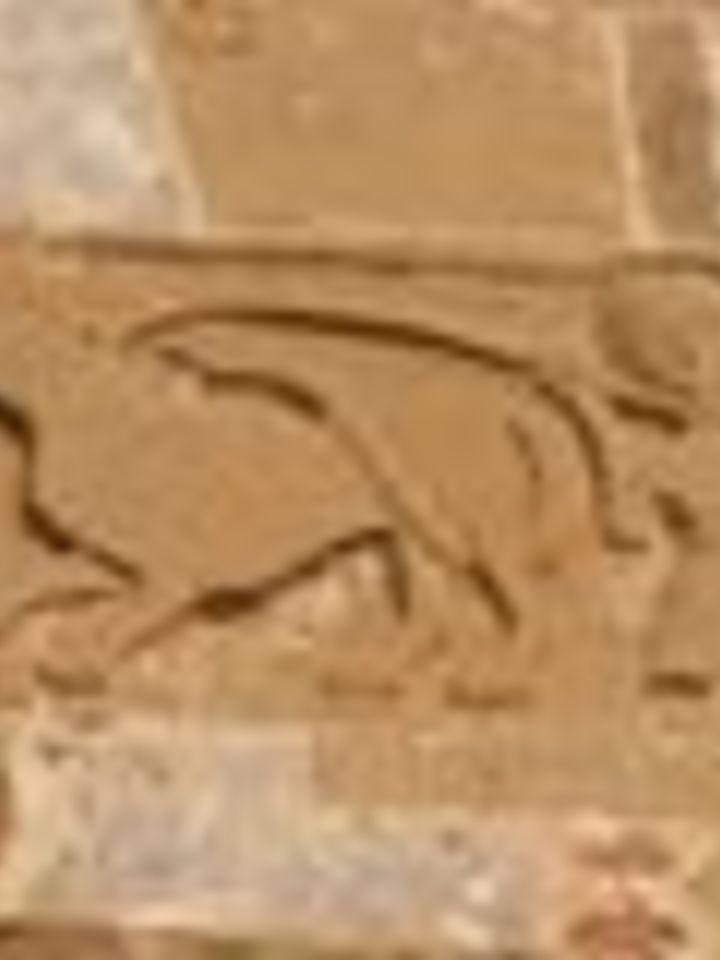 Pieve di Ponte allo Spino - Comune di Sovicille